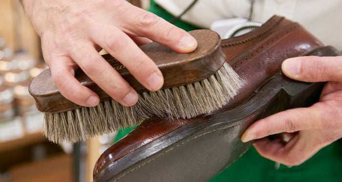 Shoe Care Guide